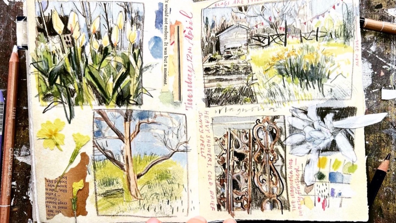 Drop in and Draw: The Story of Your Garden