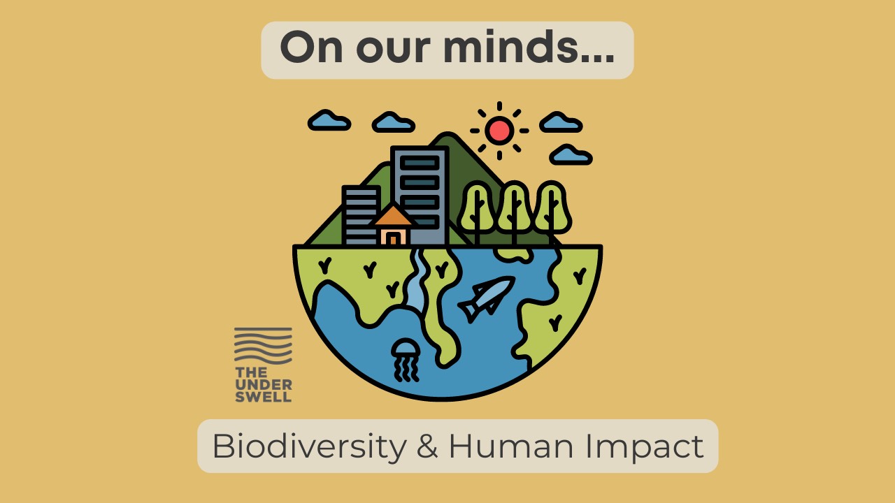 P-22, Biodiversity, and Human Impact