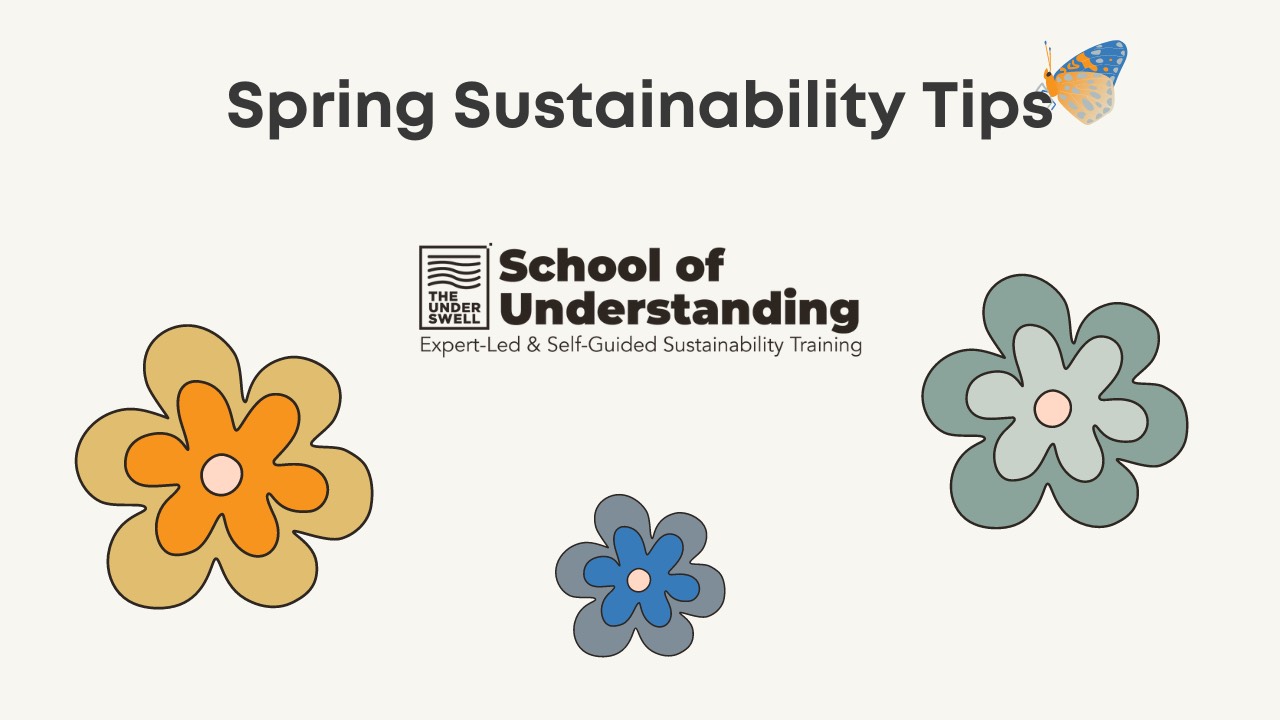 Sustainability Tips for Spring 2023