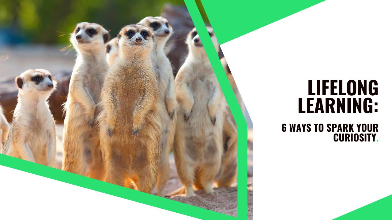 Lifelong Learning: 6 Ways to Spark Your Curiosity