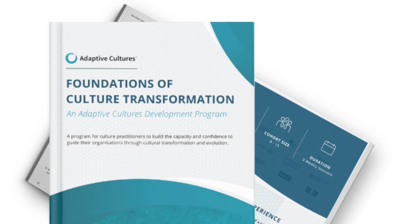 Foundations of Culture Transformation | Development Program