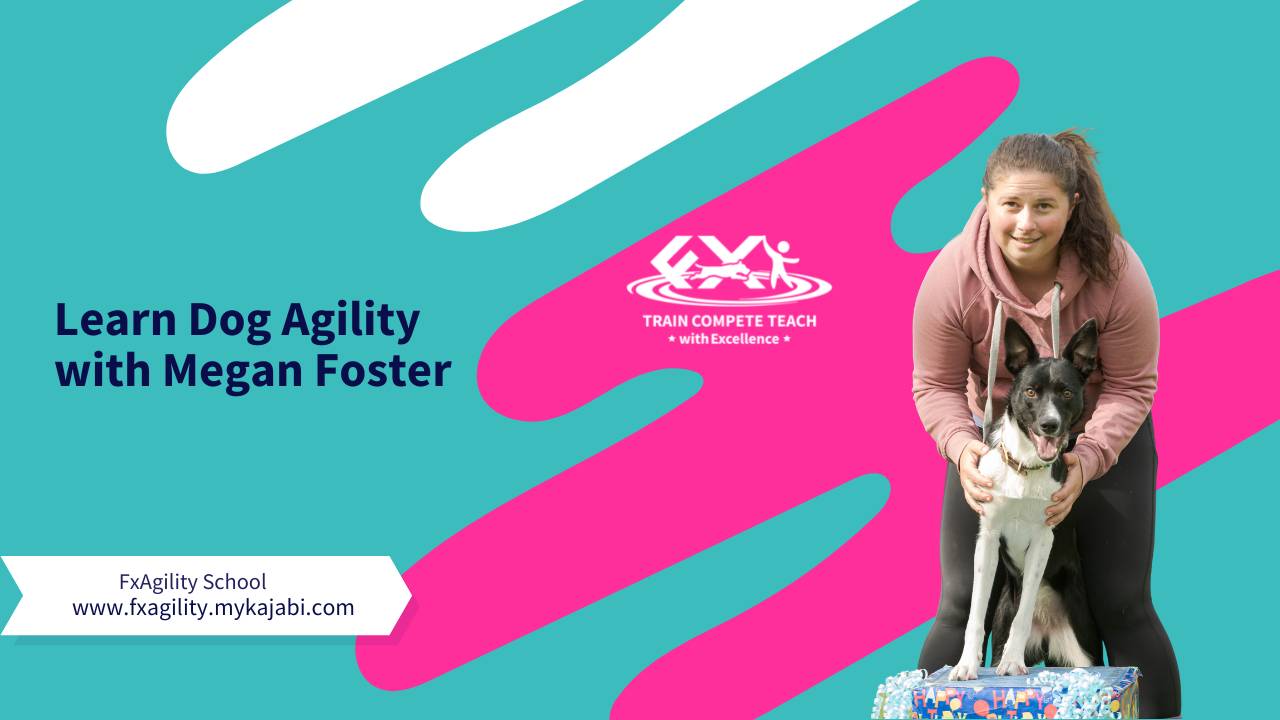 Learn Dog Agility with Megan Foster