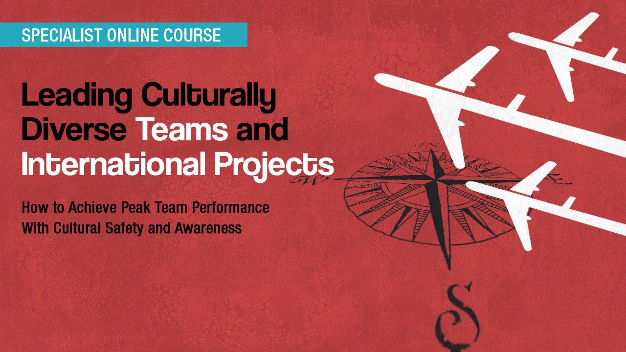 Course: Leading Culturally Diverse Teams and International Projects