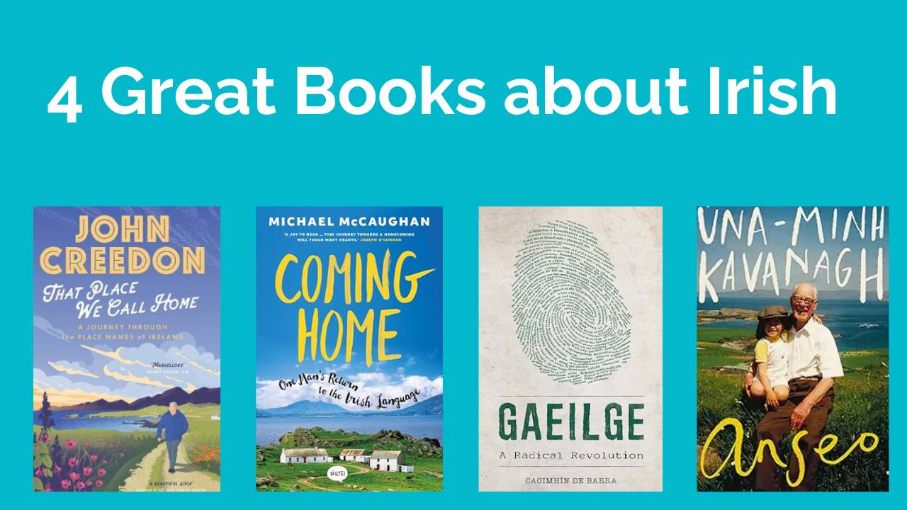 Books about Irish (in English)