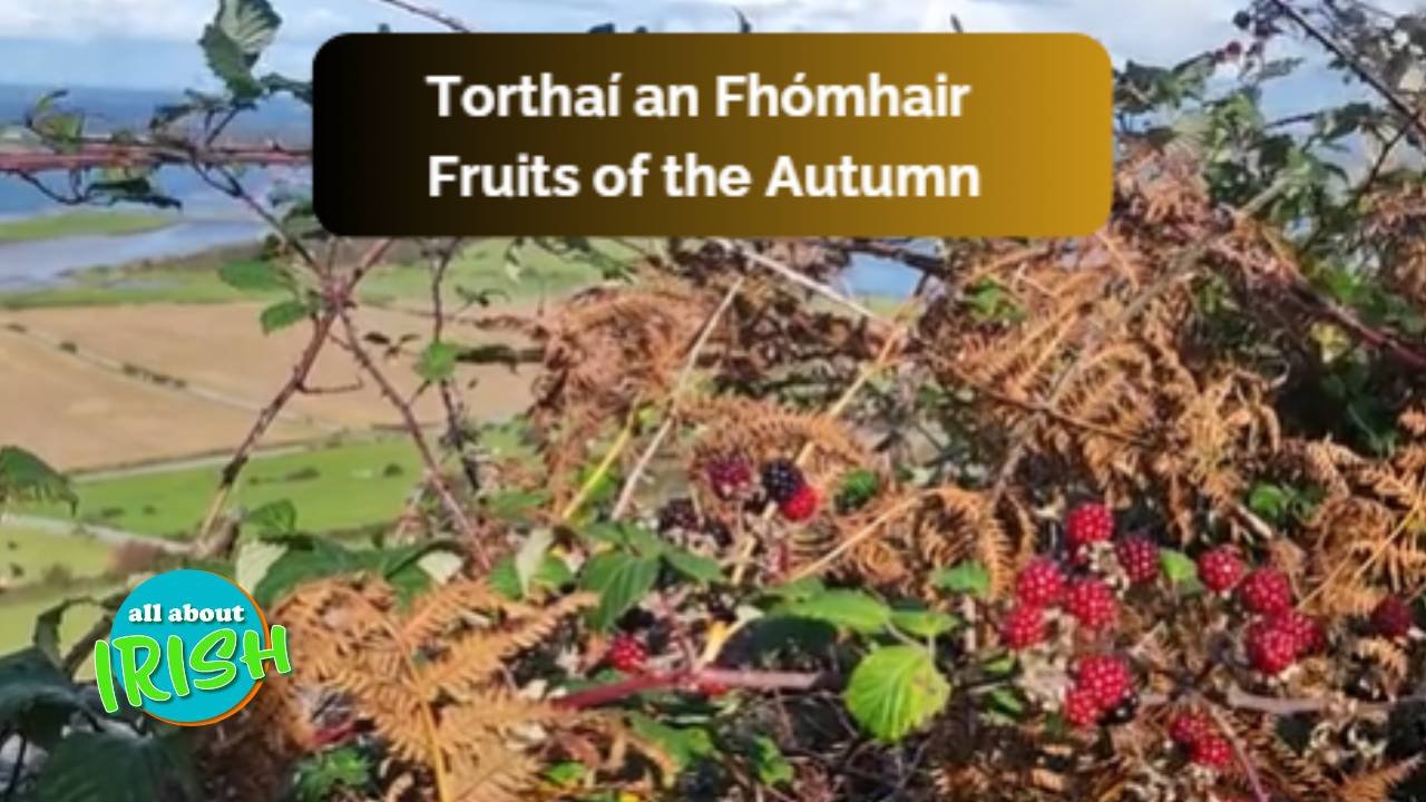 Torthaí an Fhómhair