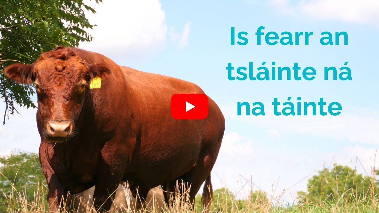 Is fearr an tsláinte ná na táinte