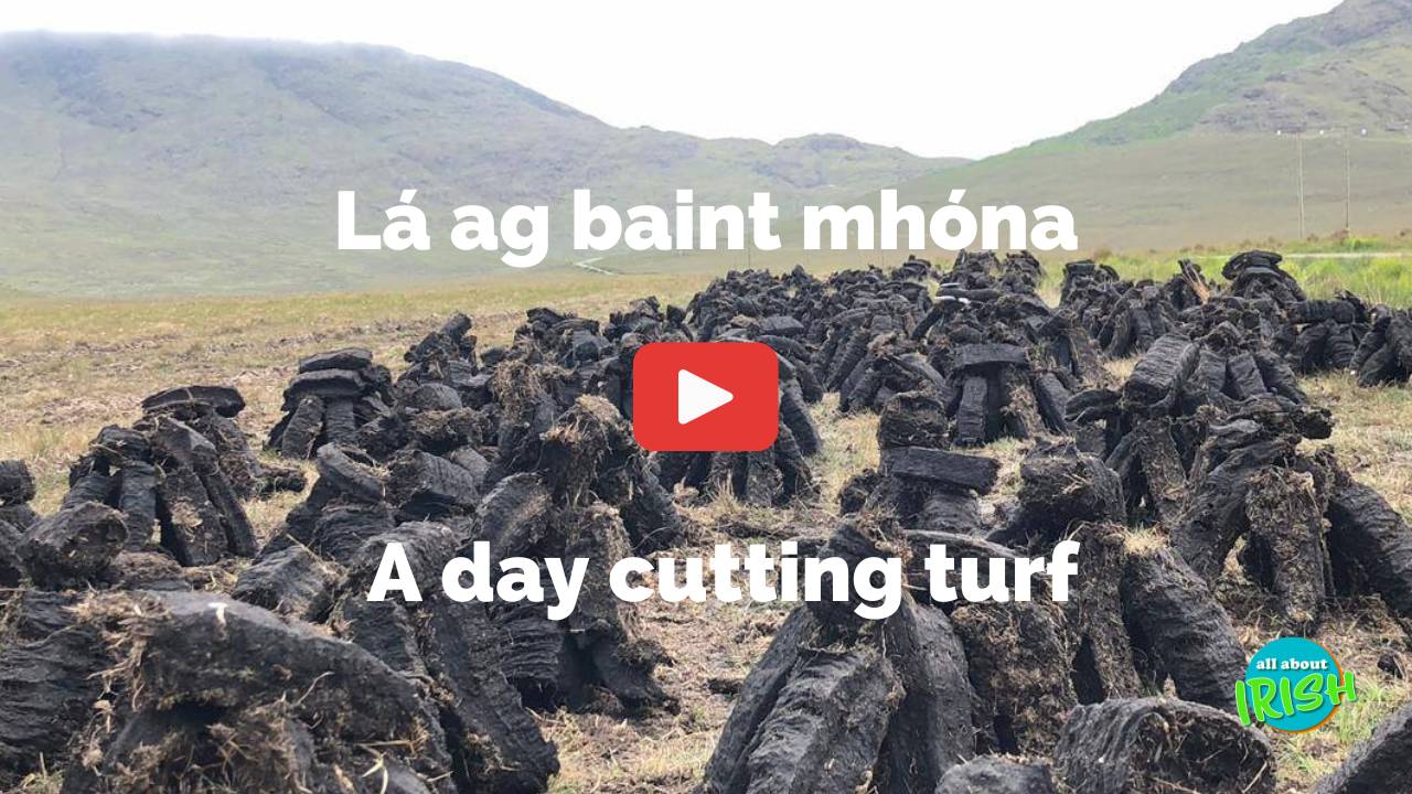 Lá ag baint mhóna