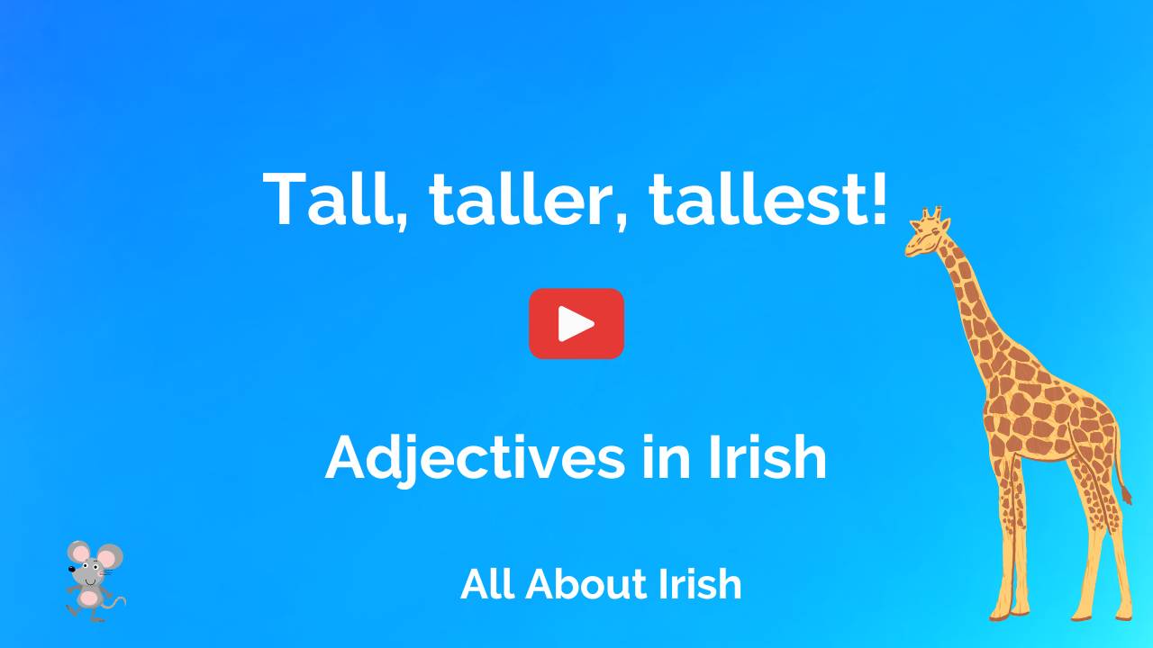 Adjectives in Irish