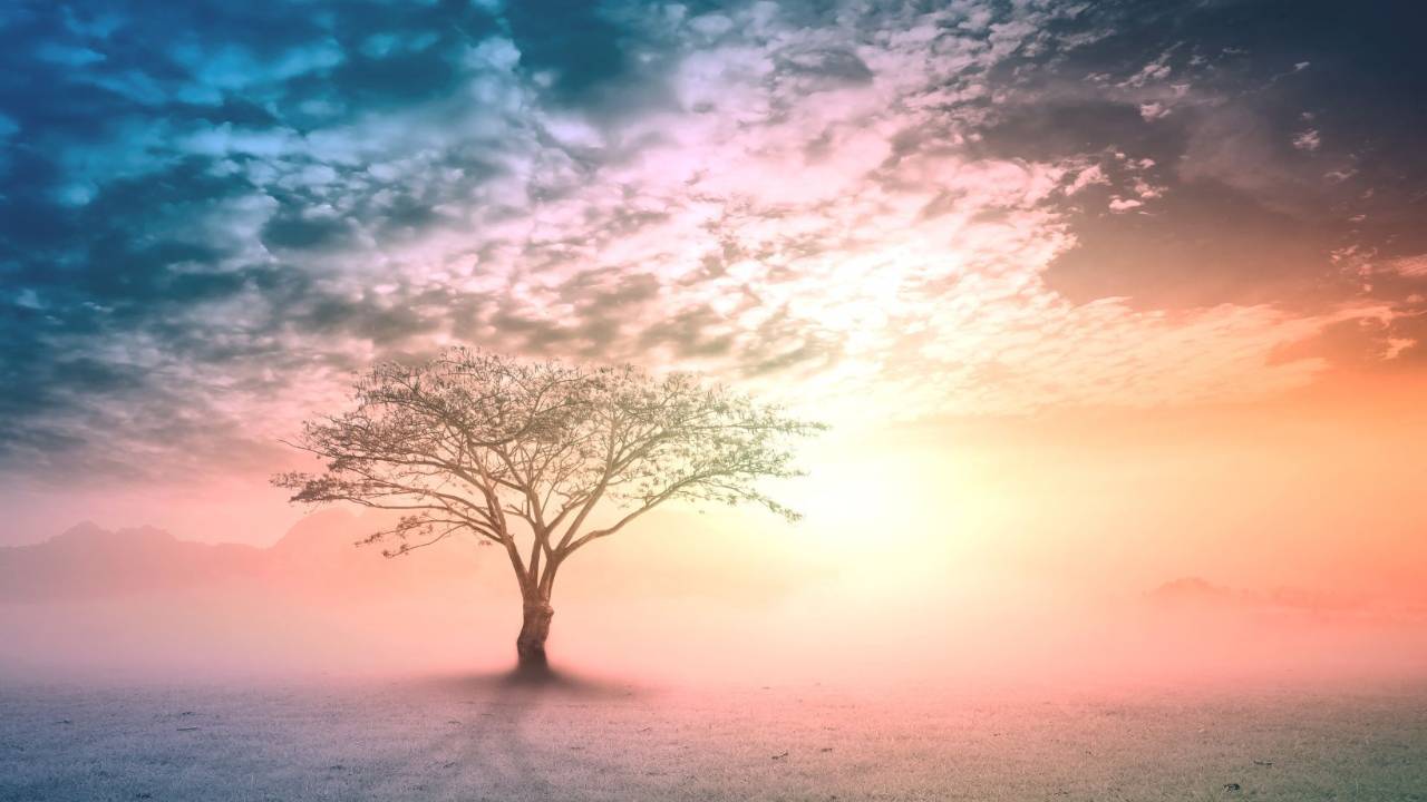 Healing as Legacy Work: How Trauma Moves Through Generations