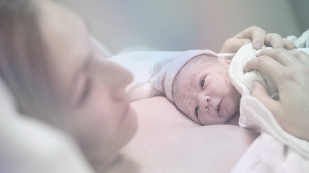 Newborn DNA Testing – What Professionals Need to Know