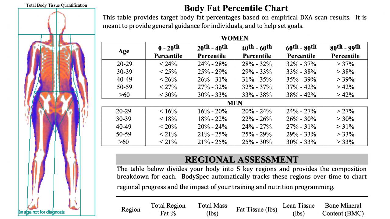 What Happened When I Got A DEXA Scan