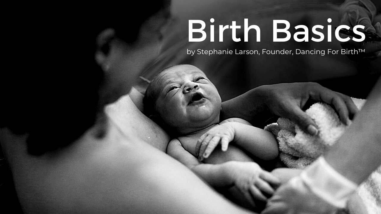 Birth Basics, Your Birth 101 Primer