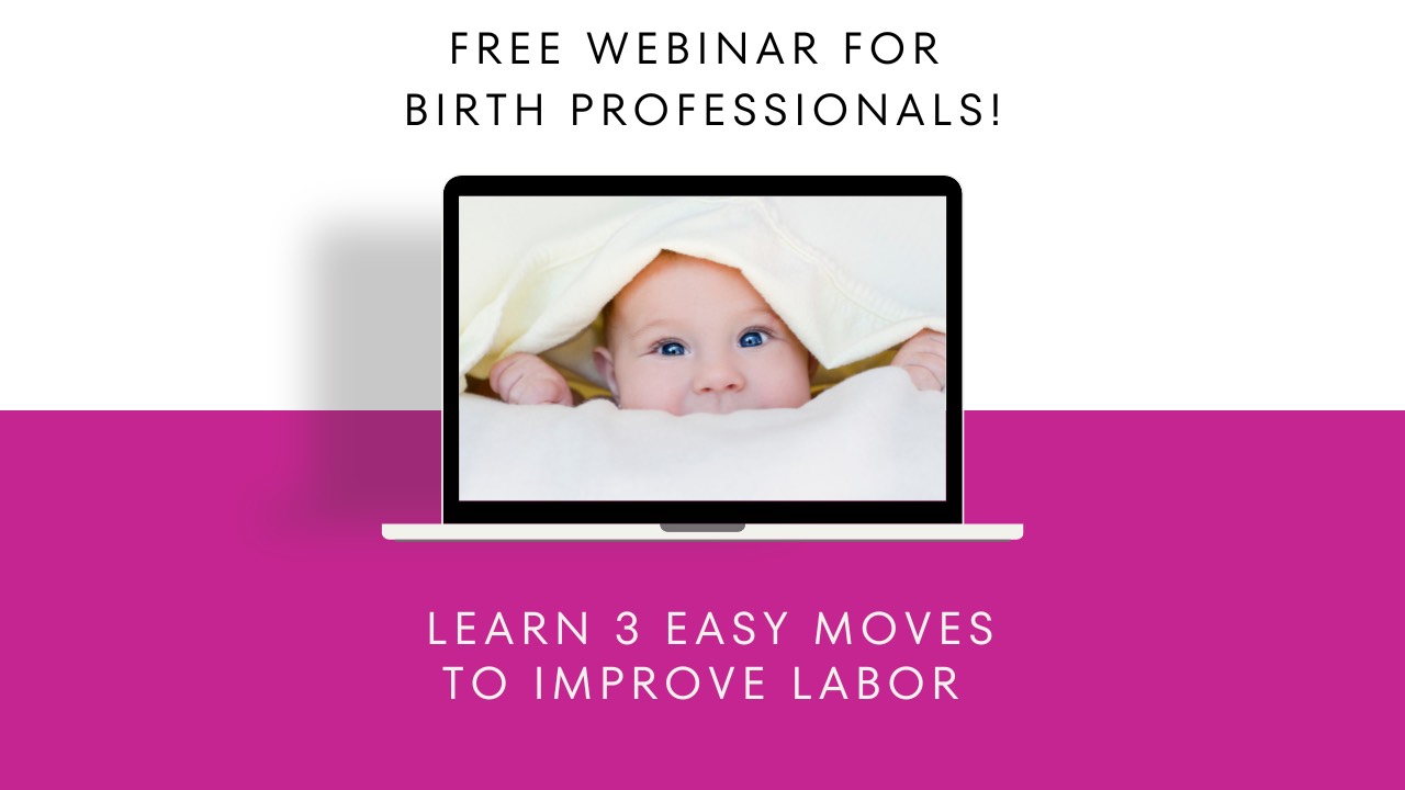 Birth Pro's Guide to Dancing For Birth™