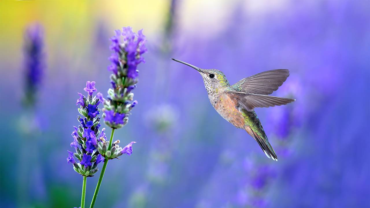 Stop Predicting, Stop Saving, Start Living
