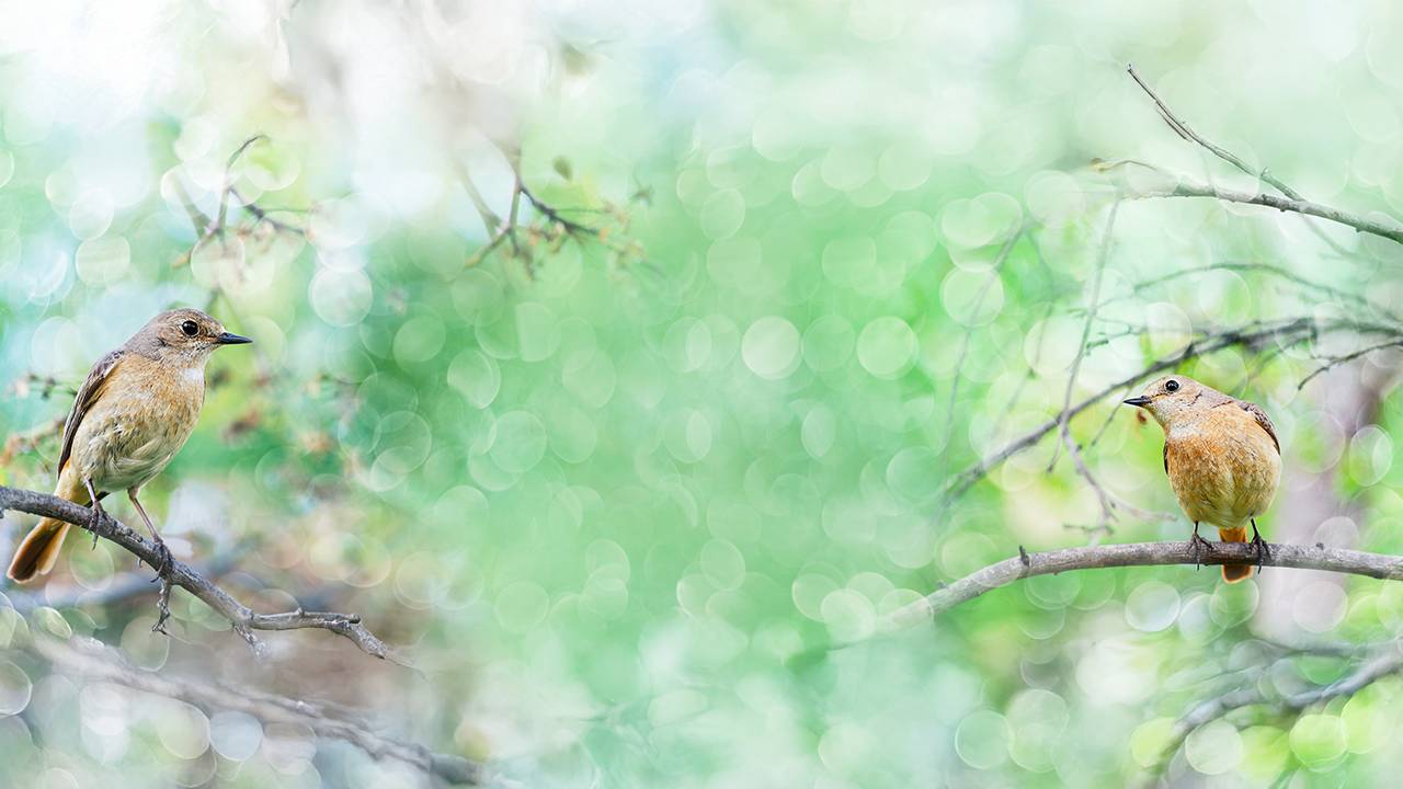 Why Growth Can’t Be Resolved by Thinking