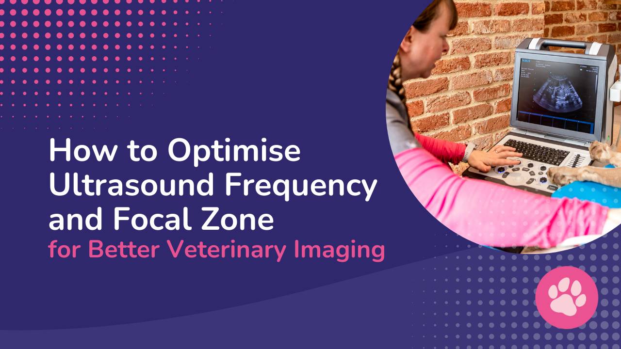 Optimise Ultrasound Frequency & Focal Zone in Vet Imaging