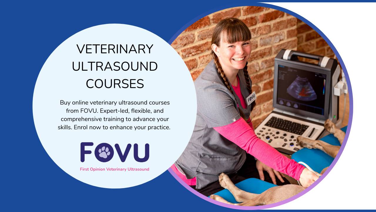 Ultrasound Courses