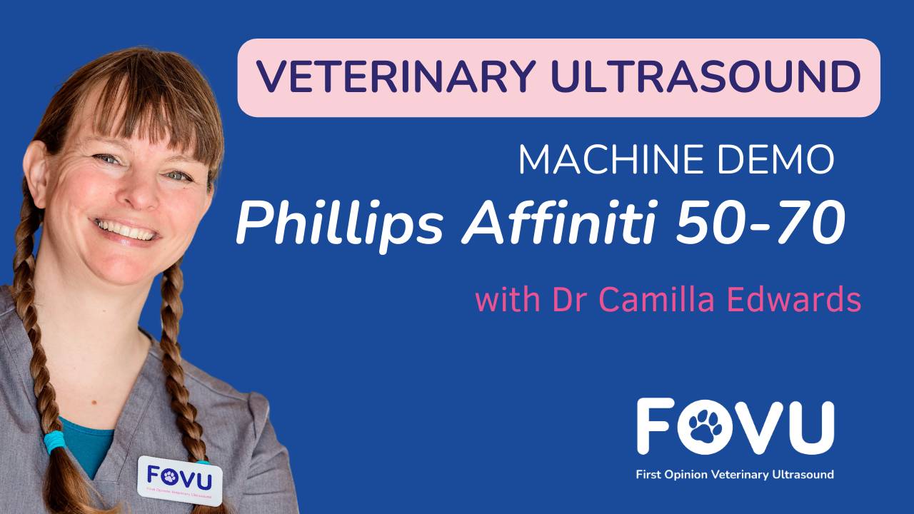 Veterinary Ultrasound Machine Review: Philips Affiniti 50/70