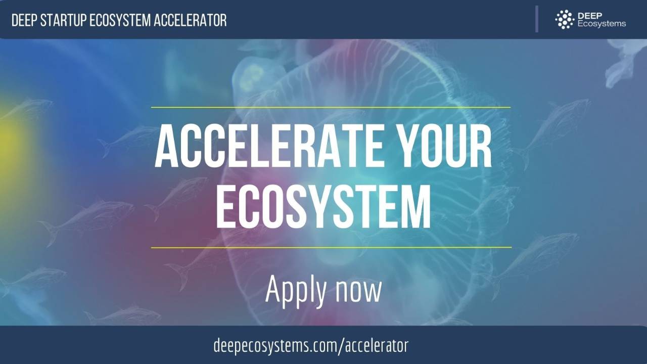 DEEP Startup Ecosystem Accelerator | Grow Your Startup Hub