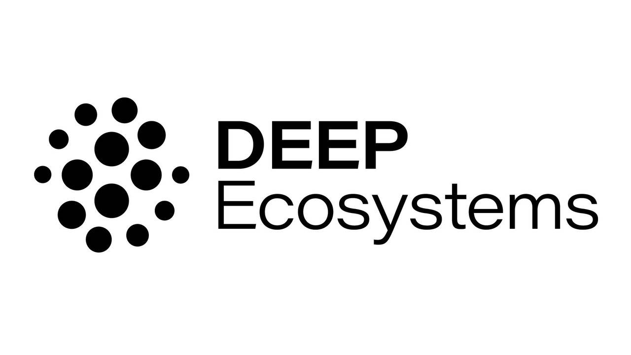 DEEPSEA Hungary | DEEP Startup Ecosystem Accelerator