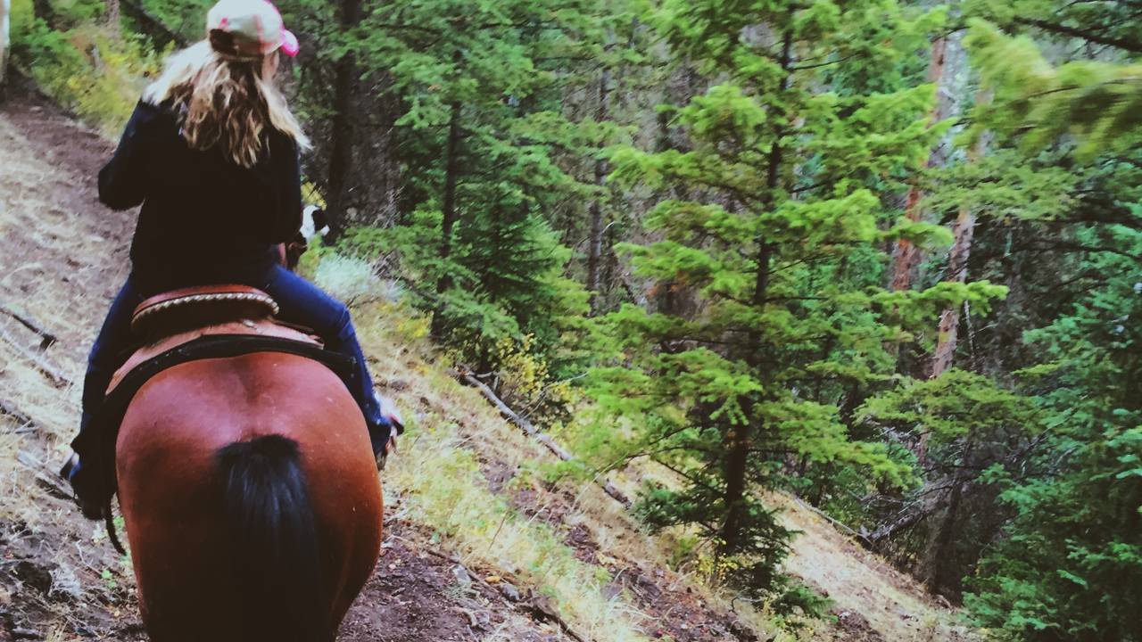 Purposeful Rides... Ground to Saddle Programs with Guidance