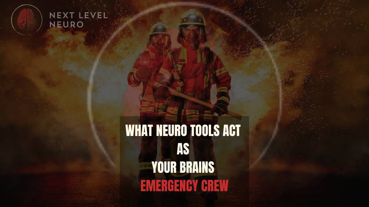 What drills act as your brain’s emergency crew?