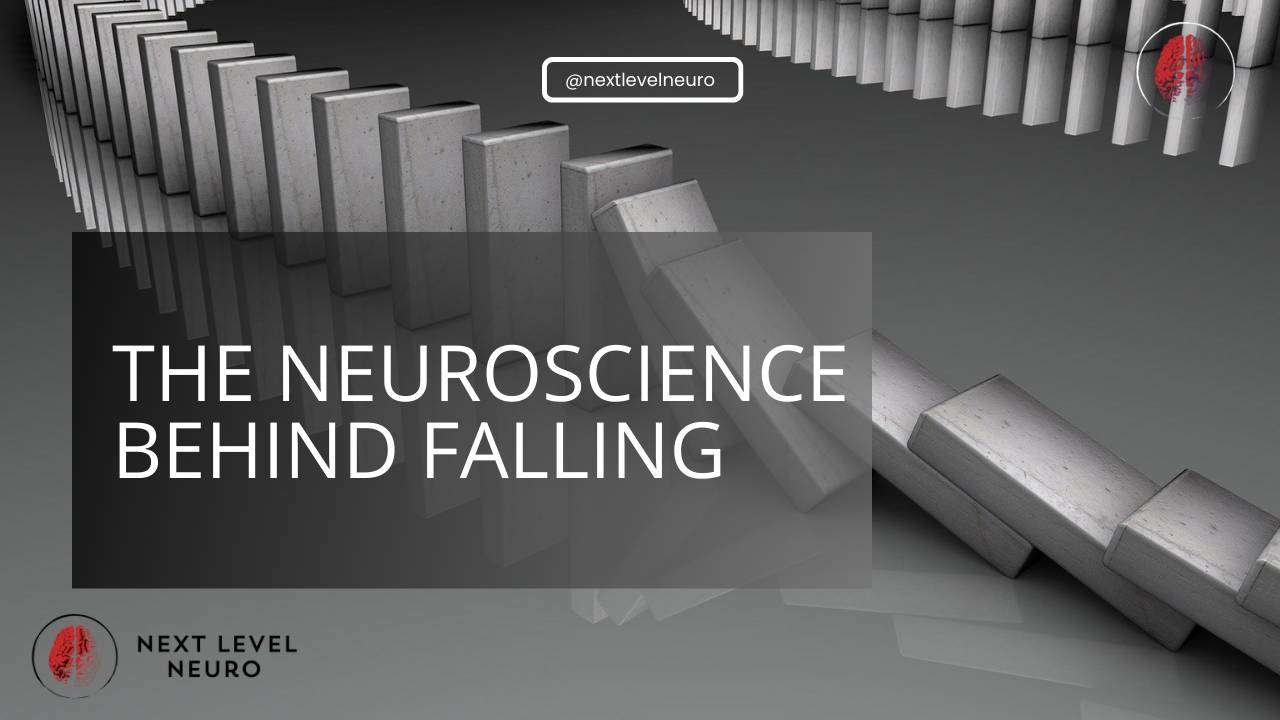 Why We Fall More as We Age: The Brain Science Behind It