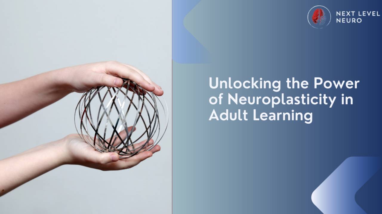 Unlocking the Power of Neuroplasticity in Adult Learning