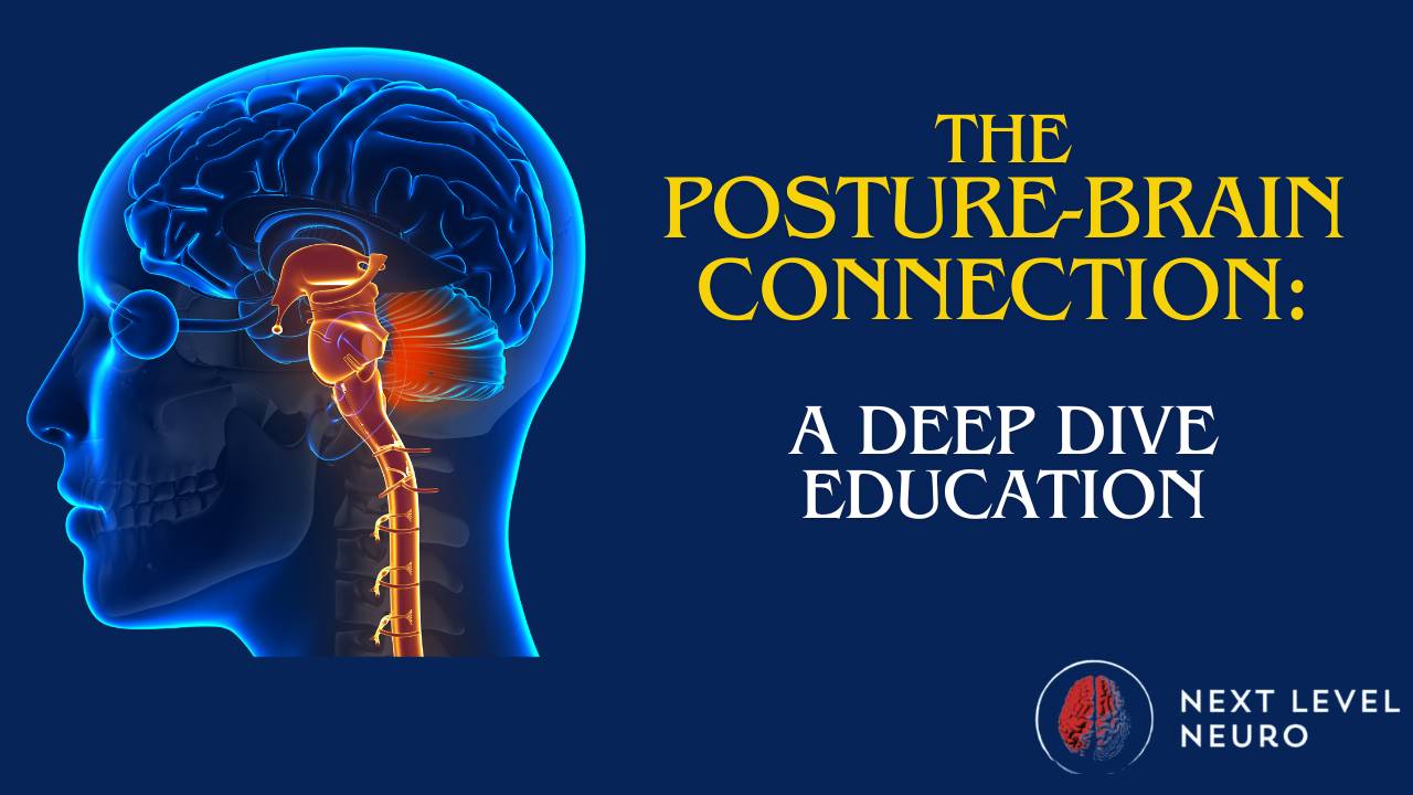 The Posture-Brain Connection: A Deep Dive Education