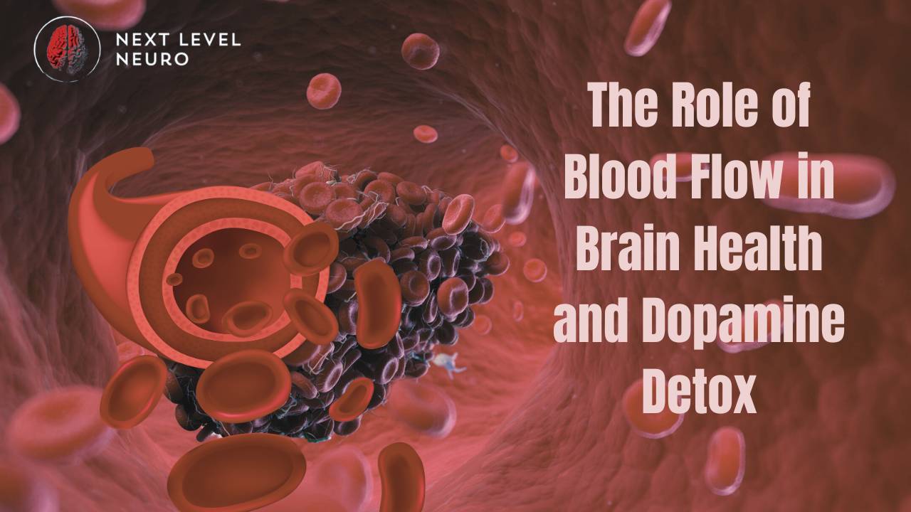 The Role of Blood Flow in Brain Health and Dopamine Detox