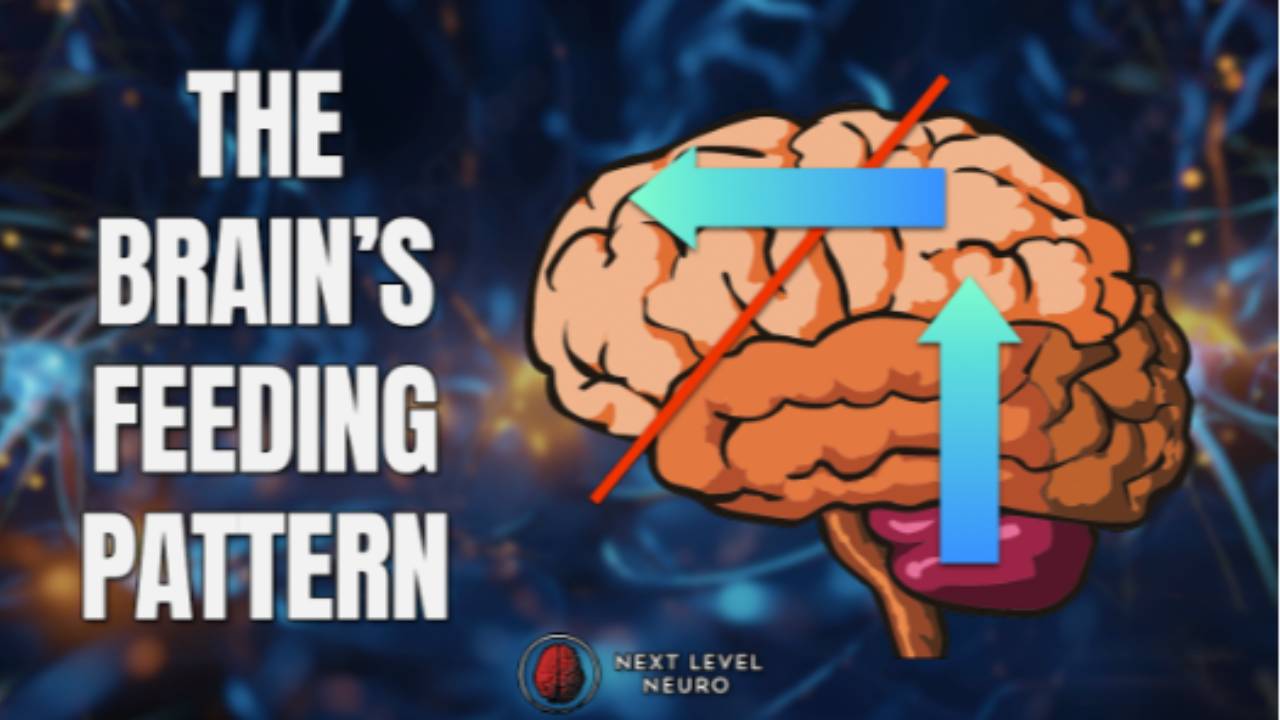 The Keto Trap: How Extreme Low-Carb Diets Worsen Pain and Brain Fog