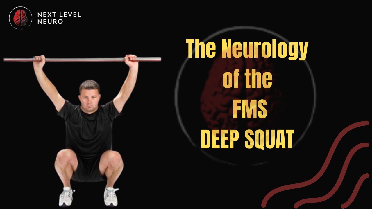 The Neurology Of The Functional Movement Screen - Deep Squat
