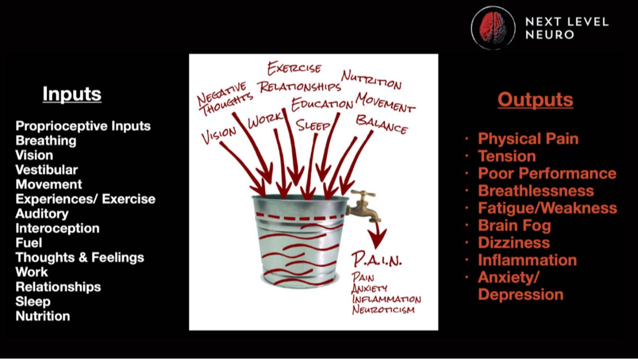 Understanding How The Brain Interprets Stress - The Threat Bucket