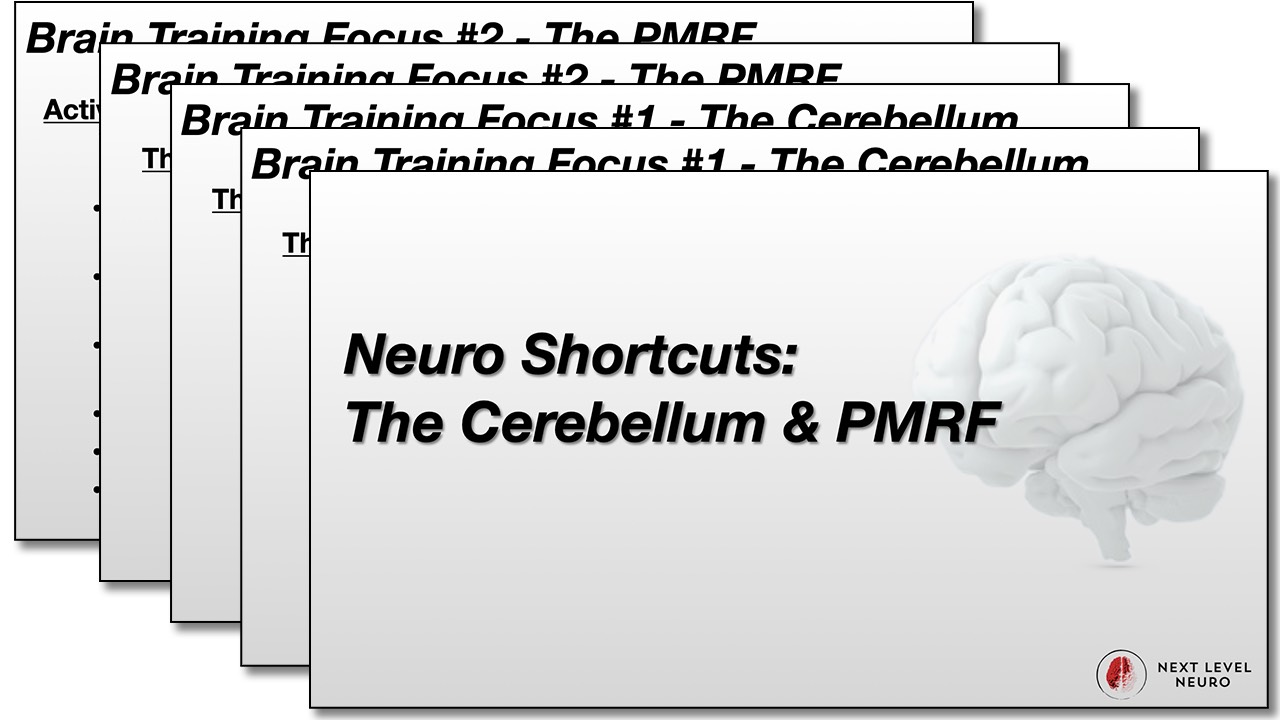 Neuro Training Workshop 2024