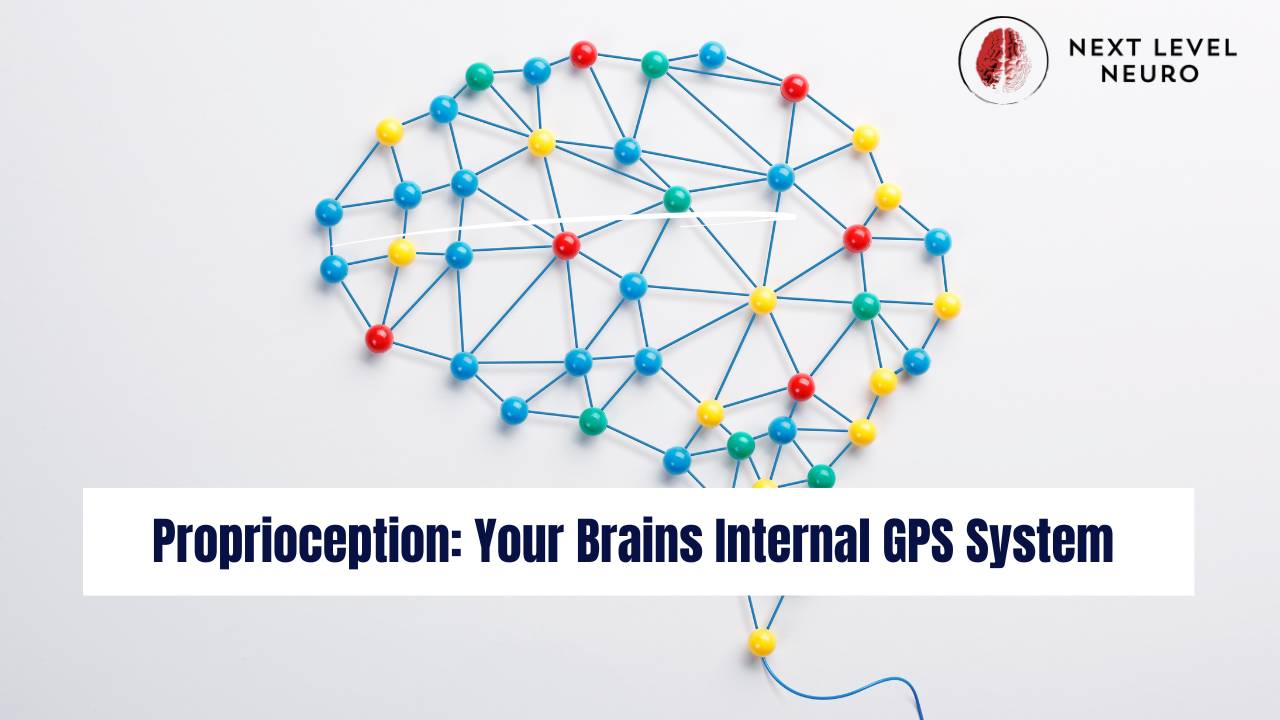 Proprioception: Your Brains Internal GPS System