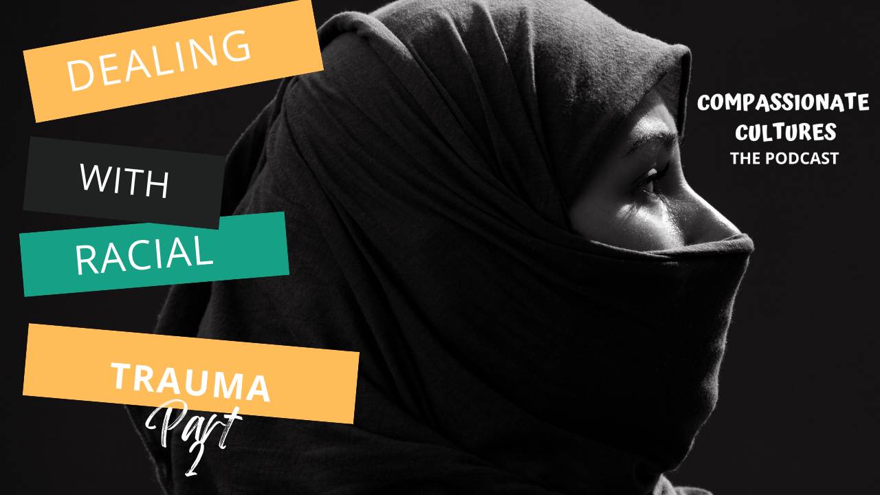 Dealing with Racial Trauma Part 2