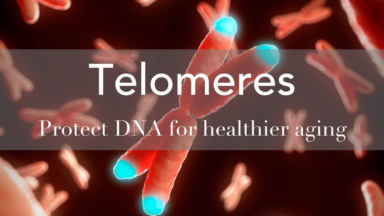 Telomeres: Protecting Our DNA