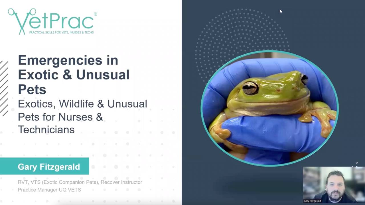 EXOTICS, WILDLIFE & UNUSUAL PETS