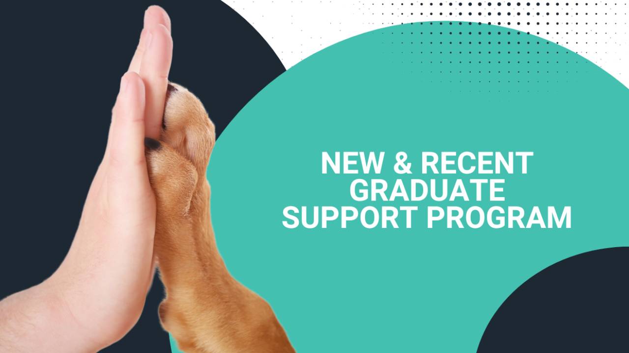 New Grad Support Program