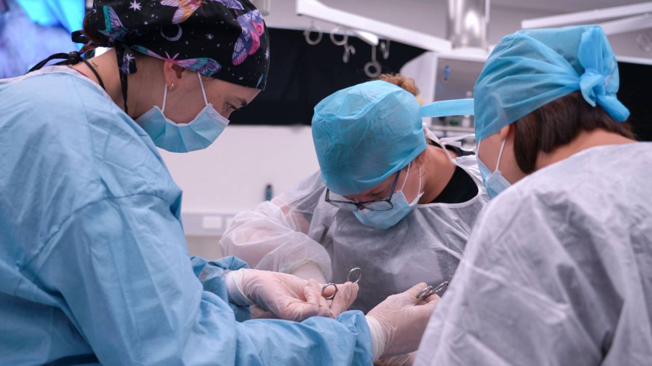 In-Clinic Training