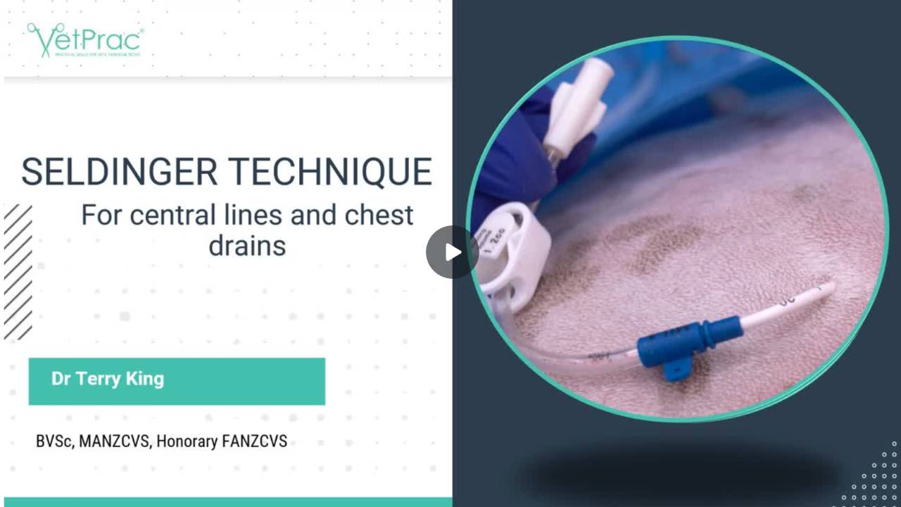 SELDINGER TECHNIQUE FOR CENTRAL LINES & CHEST DRAINS