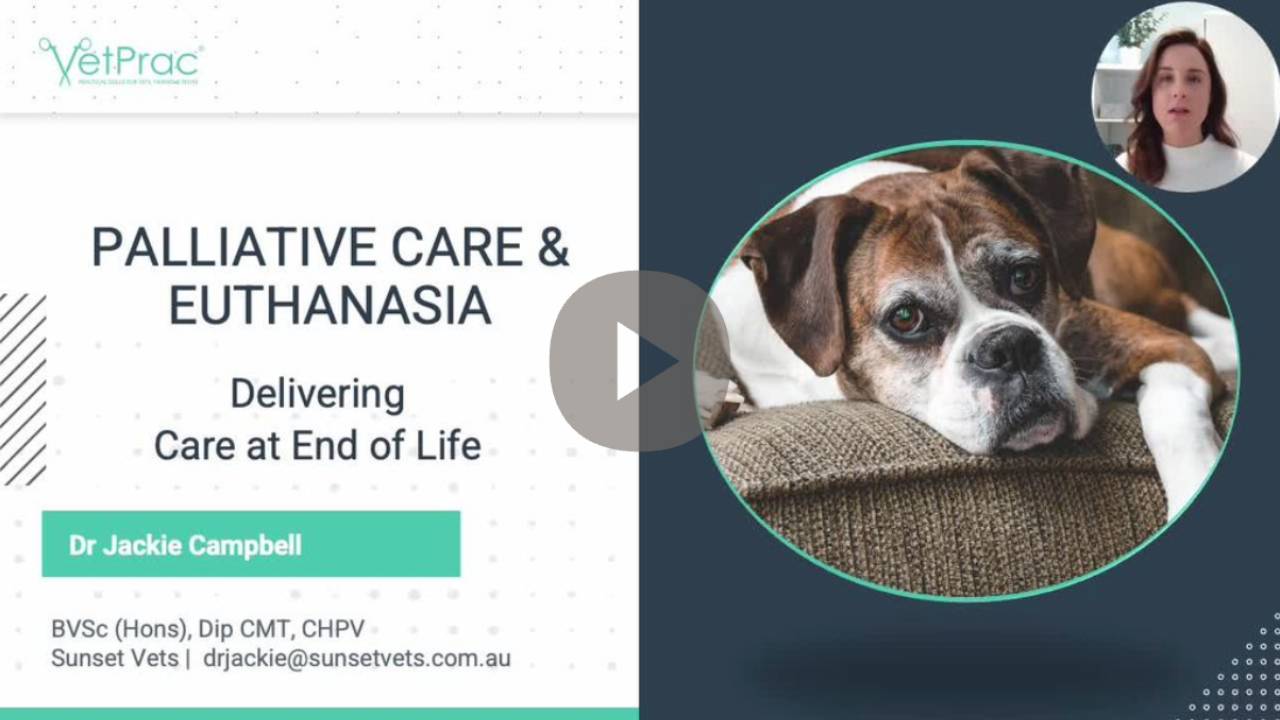 END OF LIFE: PALLIATIVE CARE AND EUTHANASIA