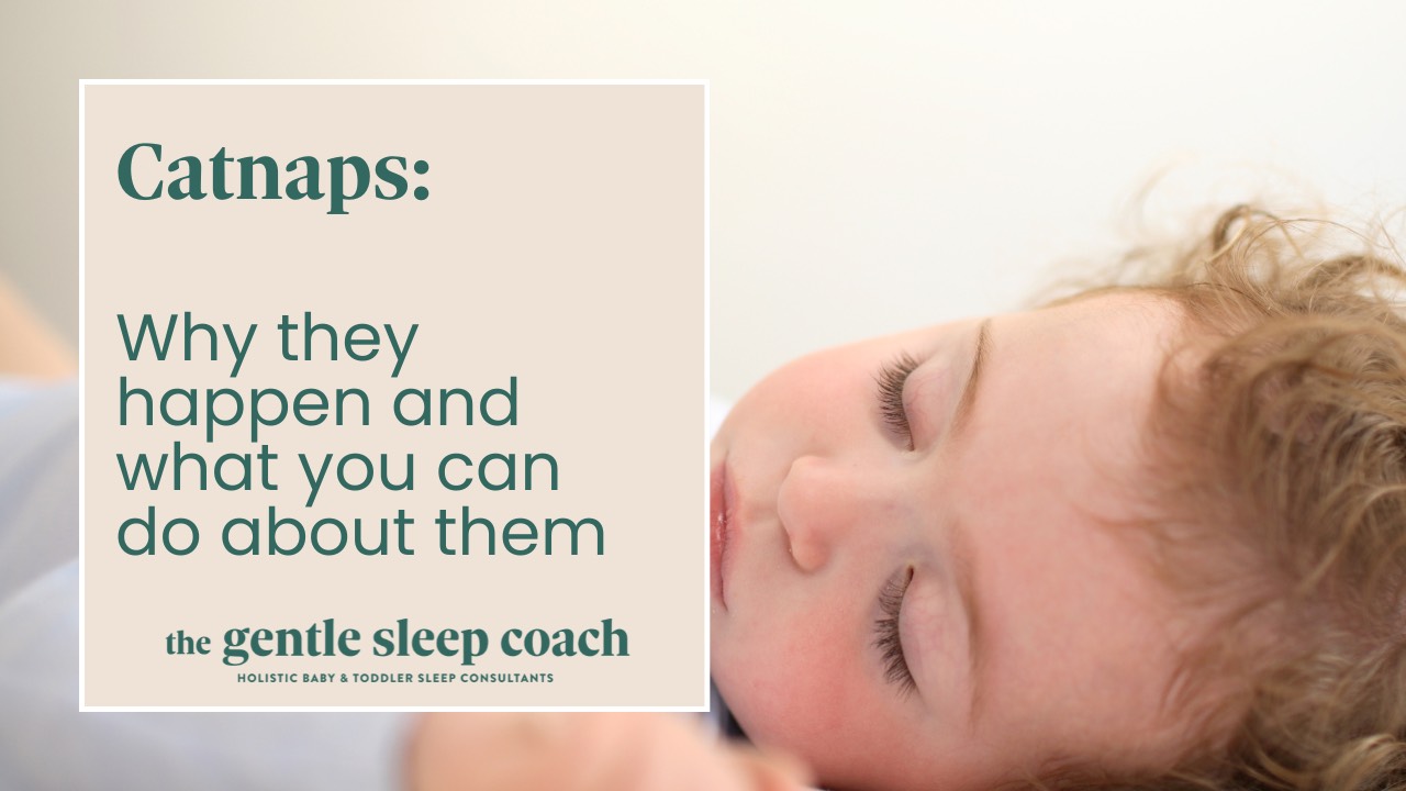 Catnaps: Why they happen and what you can do about them