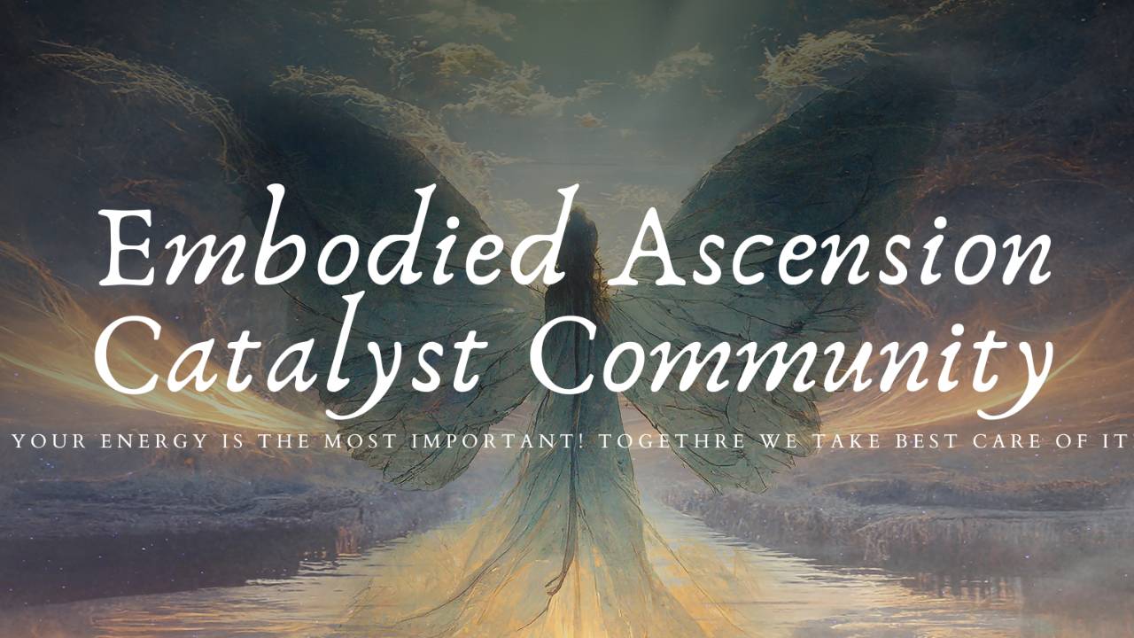 DE CommUNITY Waitlist