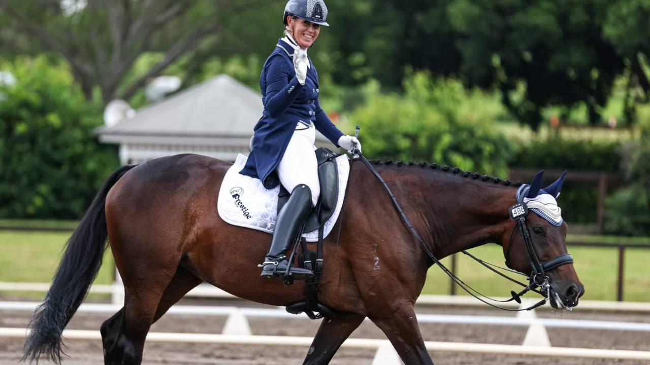 Rider training learn dressage basics