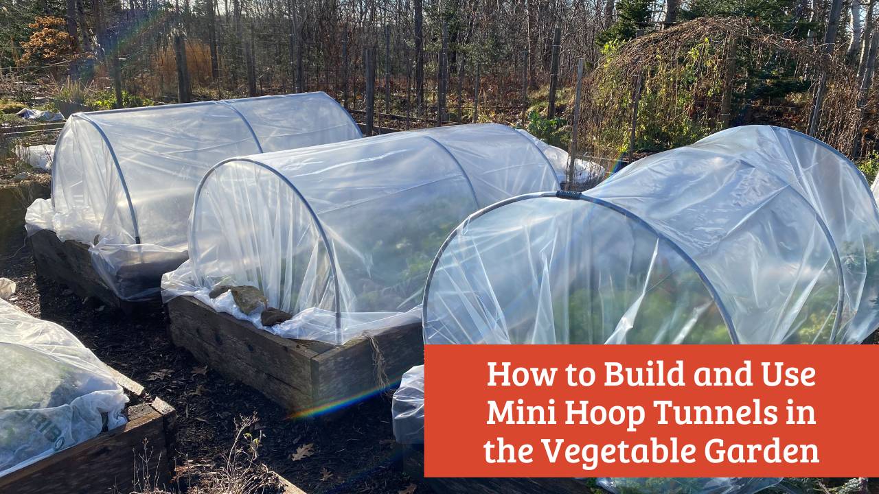 How to Build and Use Mini Hoop Tunnels in the Vegetable Garden