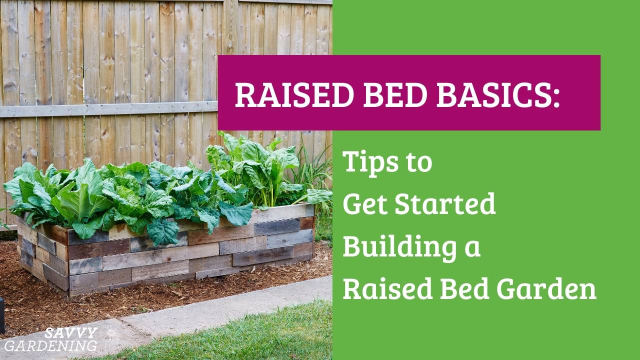 Raised Bed Basics: Tips to Get Started Building a Raised Bed Garden