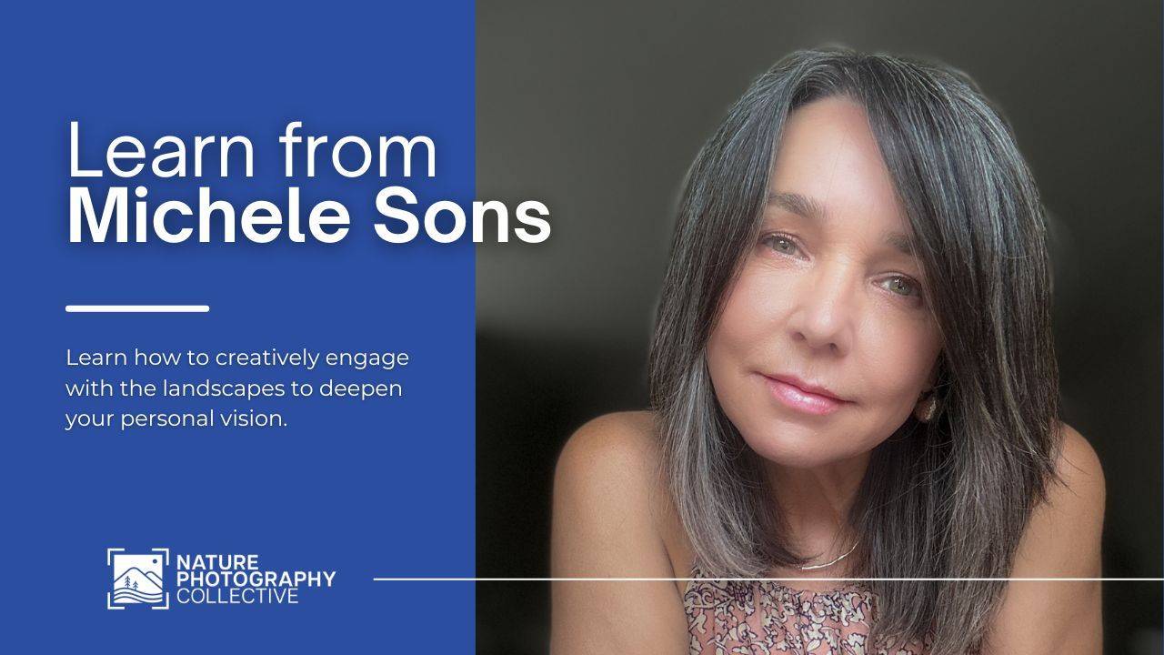 Learn from Michele Sons