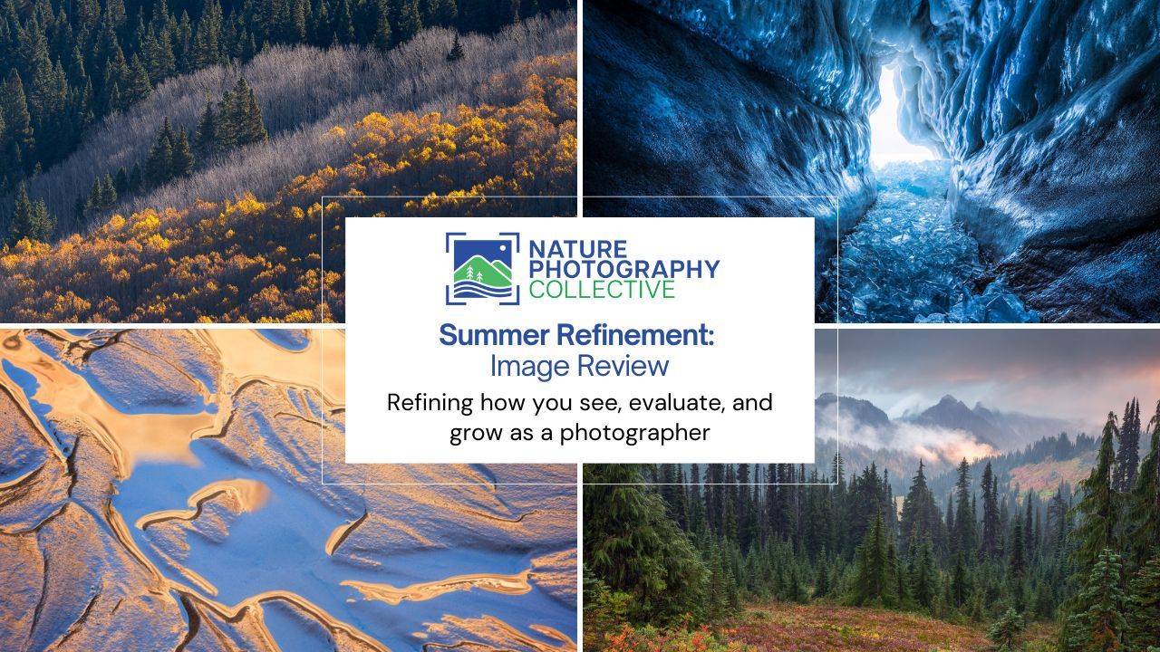 Learn Photography Course: Summer of Refinement - Image Review