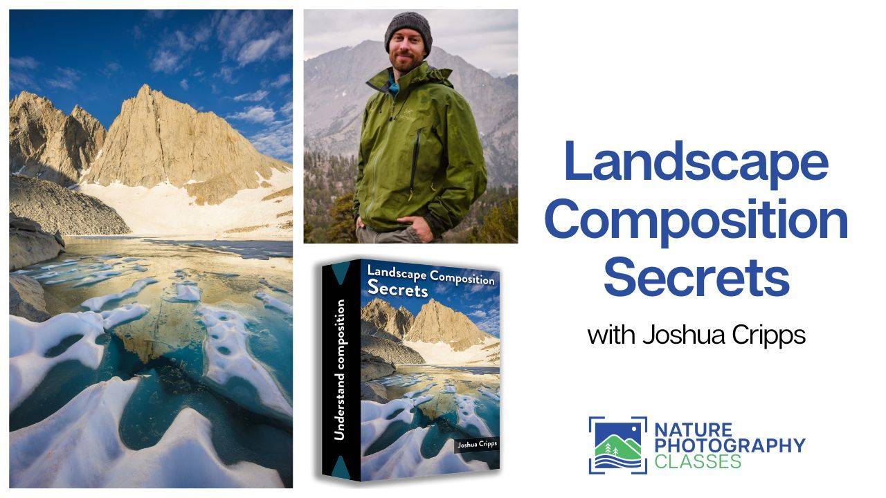 Landscape Composition Secrets with Joshua Cripps